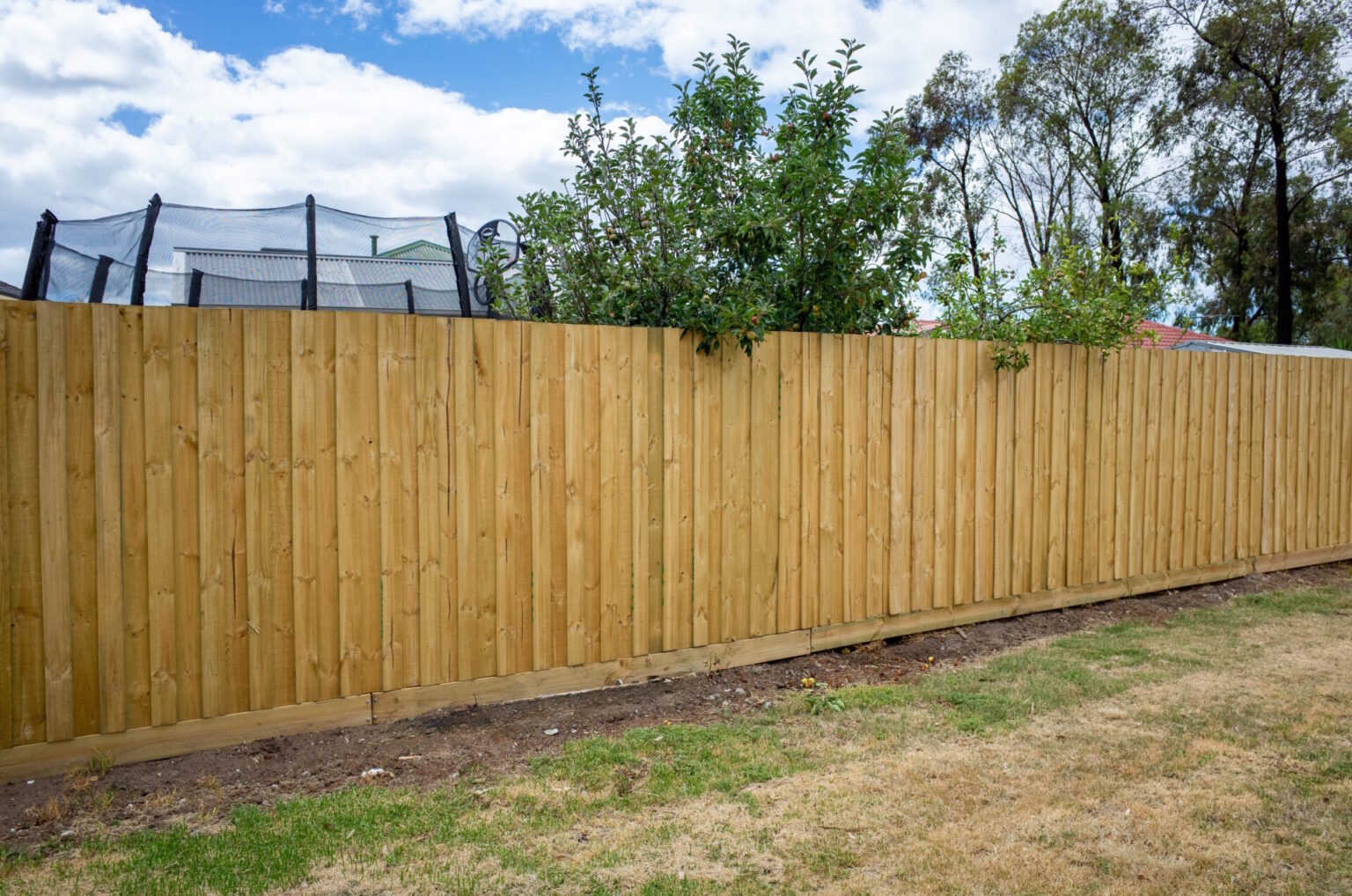 Understanding The Boundary Fences Act | Page Seager